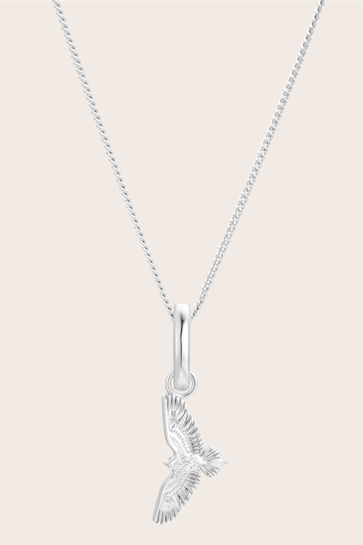 Fine Curb Chain Necklace I 925 Sterling Silver Jewellery I NZ Designed
